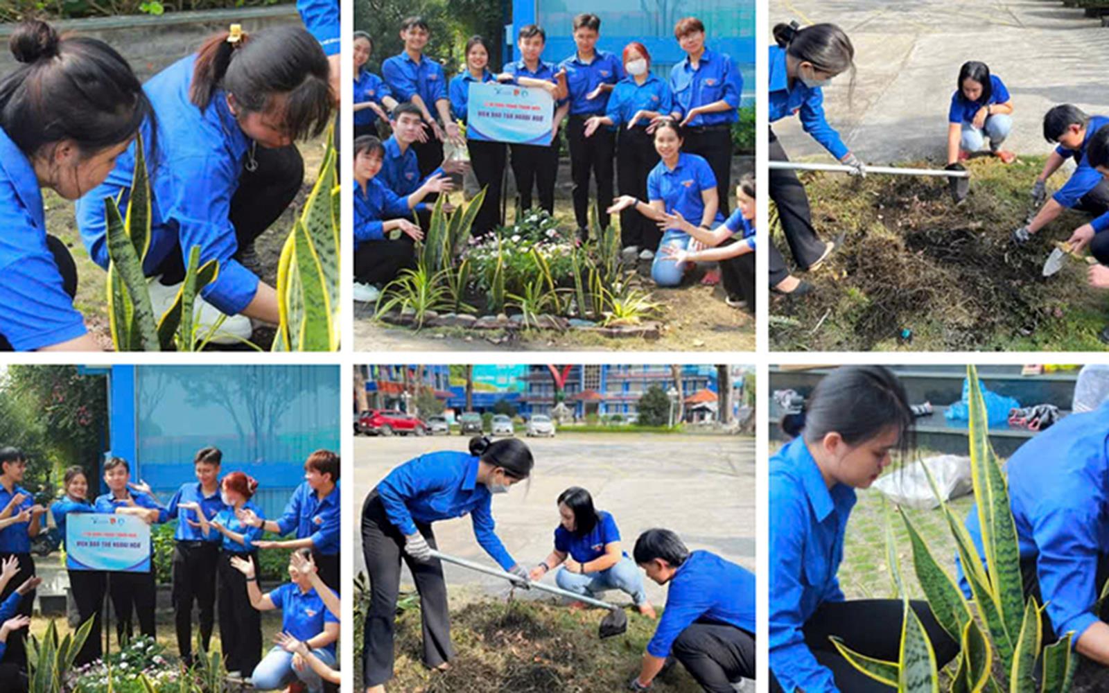 Sôi nổi Tháng Thanh niên 2025: Tuổi trẻ trường Đại học Thủ Dầu Một lan ...